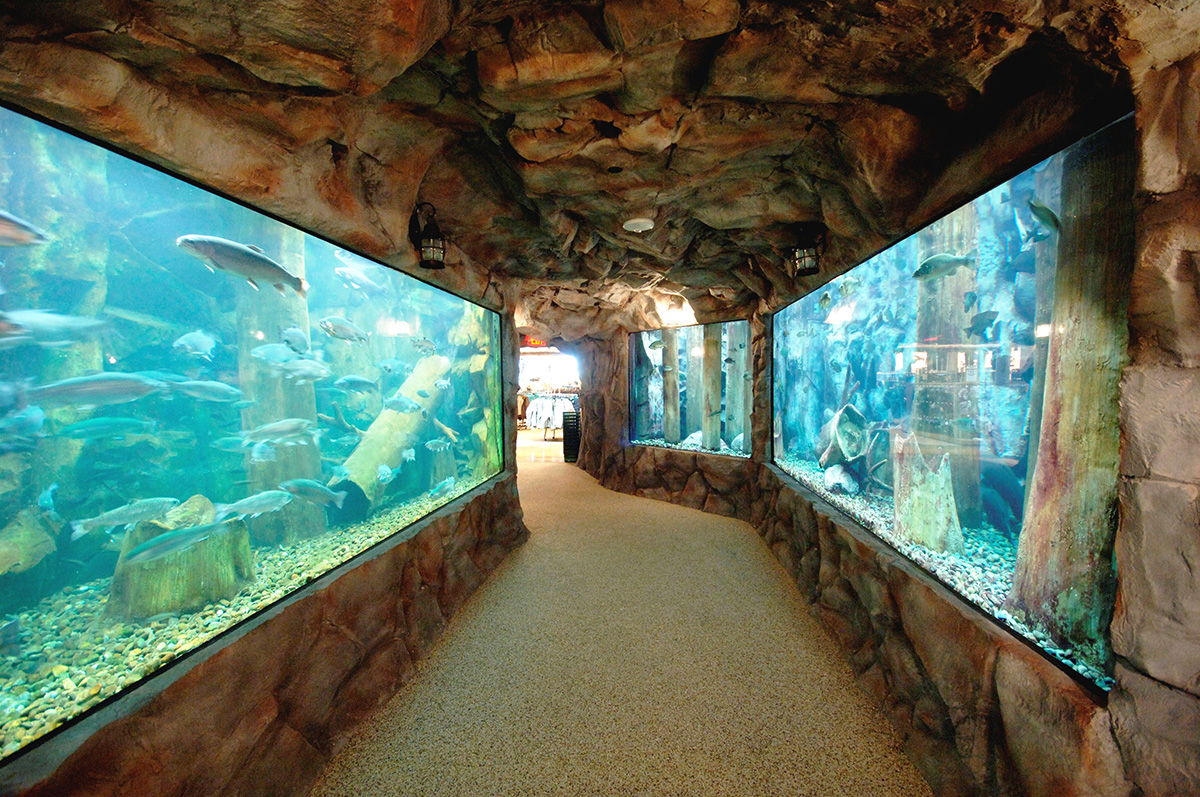 | Cabela’s Retail Inc.